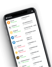 Developers - PayKassa